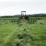 HayMaster Pro Premium Grass Mix - Best Forage